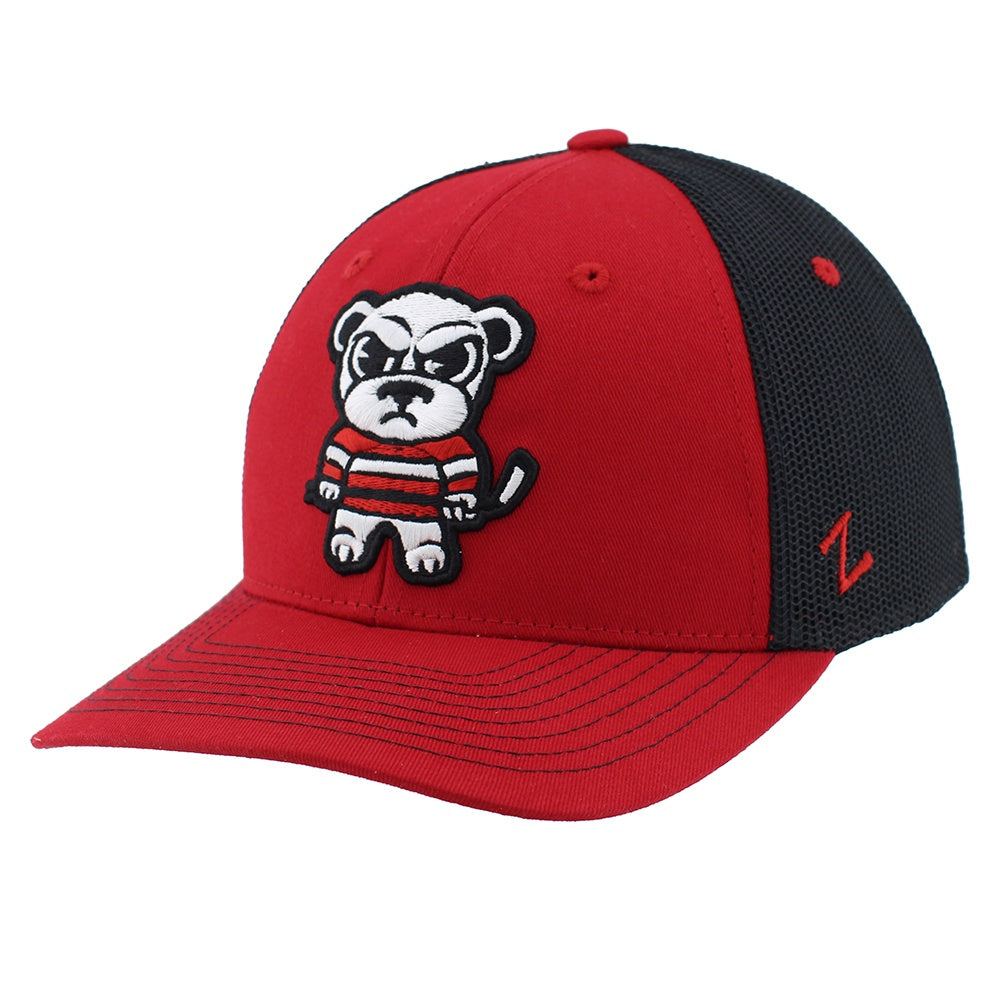 Checkers Harajuku Adjustable Hat – Charlotte Checkers